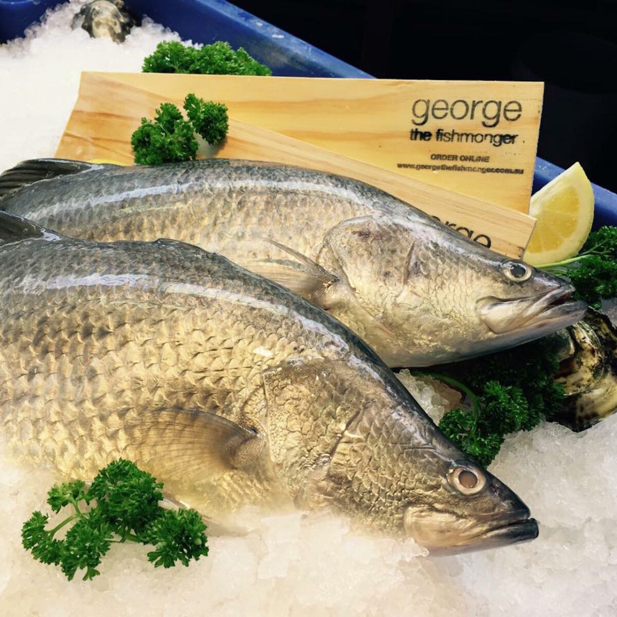 George The Fishmonger