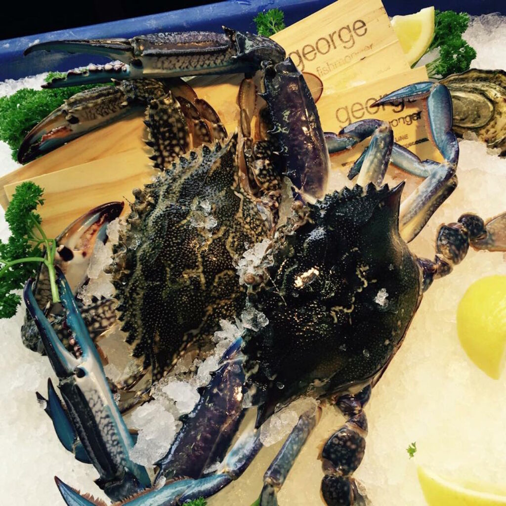 Blue Swimmer Crabs - Queen Victoria Market