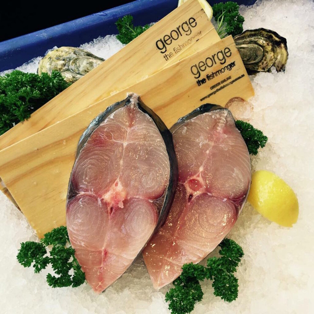Spanish Mackerel - Queen Victoria Market