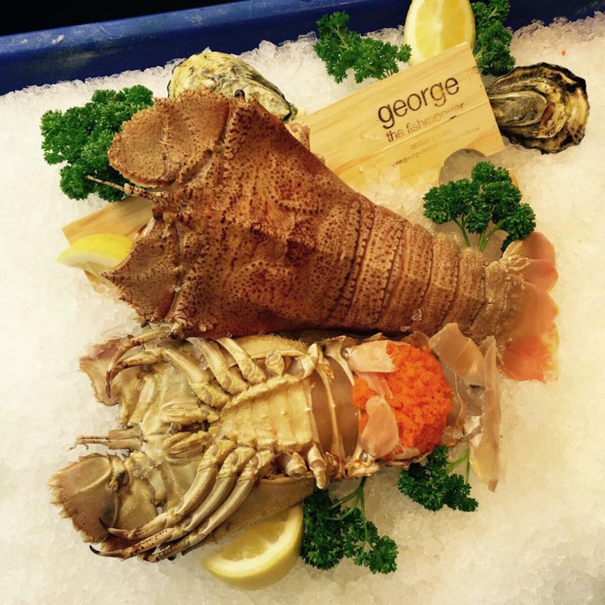 Moreton Bay Bugs XXL - Queen Victoria Market