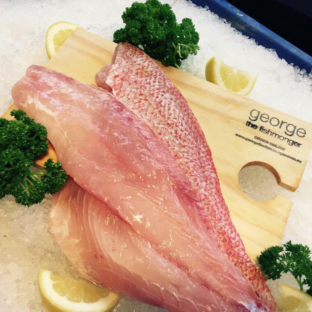 Red Snapper - Queen Victoria Market