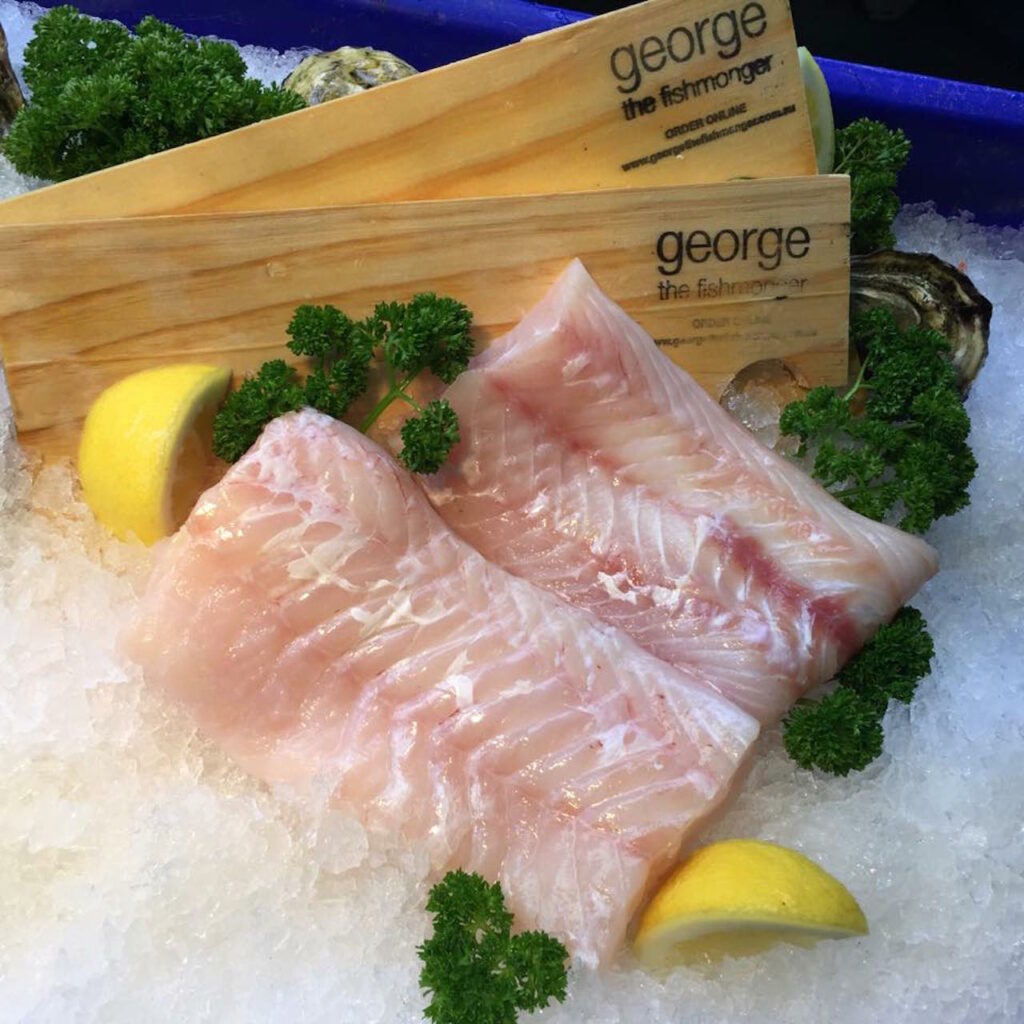 Toothfish Glacier 51 - Queen Victoria Market