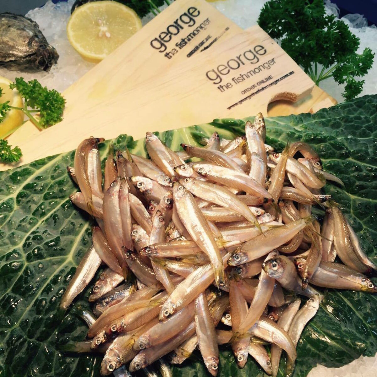Australian Whitebait - Queen Victoria Market