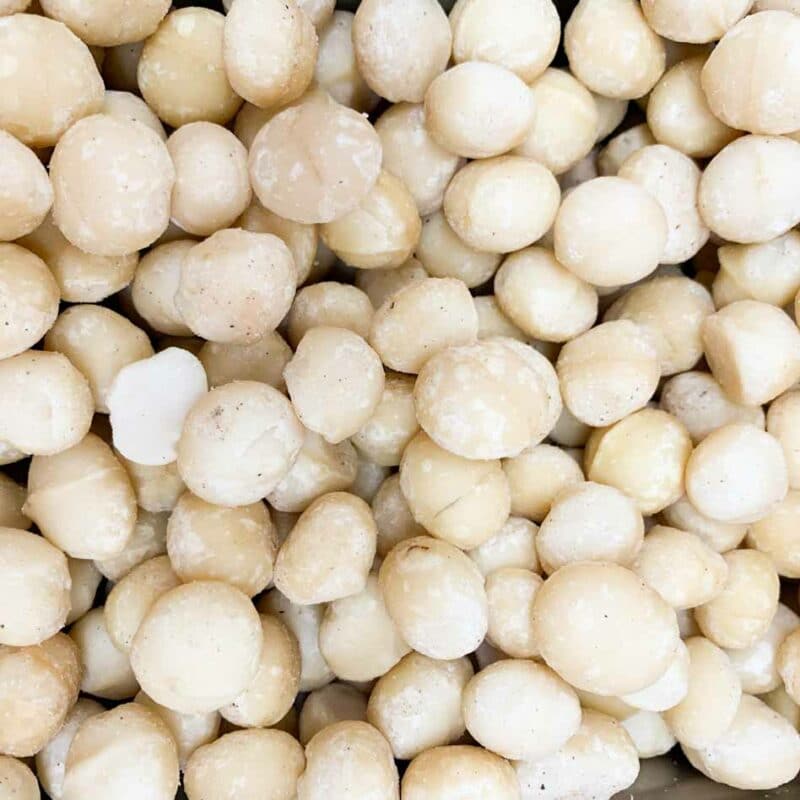 Abalone macadamia - Queen Victoria Market