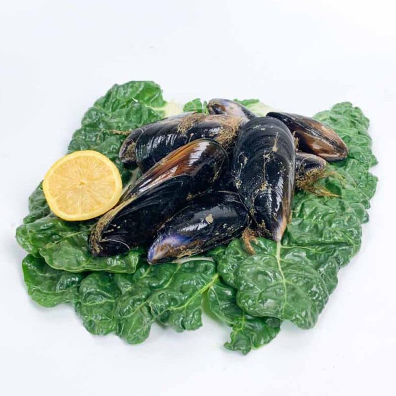 Buy Oysters, Mussels & Scallops Online | Queen Victoria Market