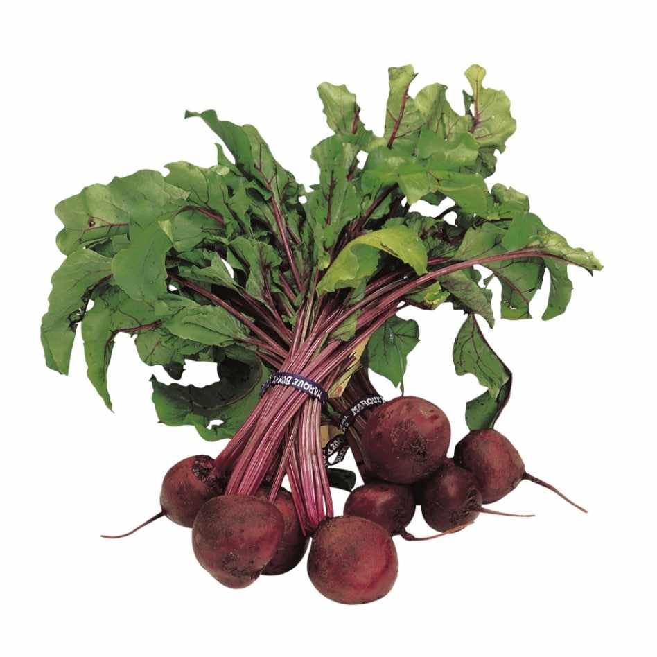 Beetroot (Bunch) - Queen Victoria Market