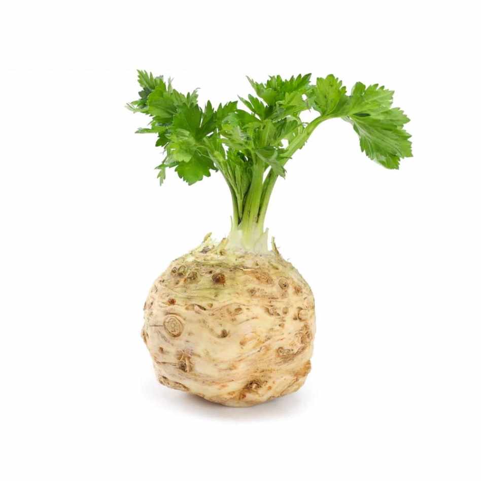 Celeriac - Queen Victoria Market