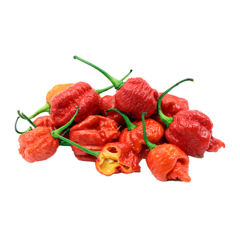 Carolina Reaper Chilli - Queen Victoria Market