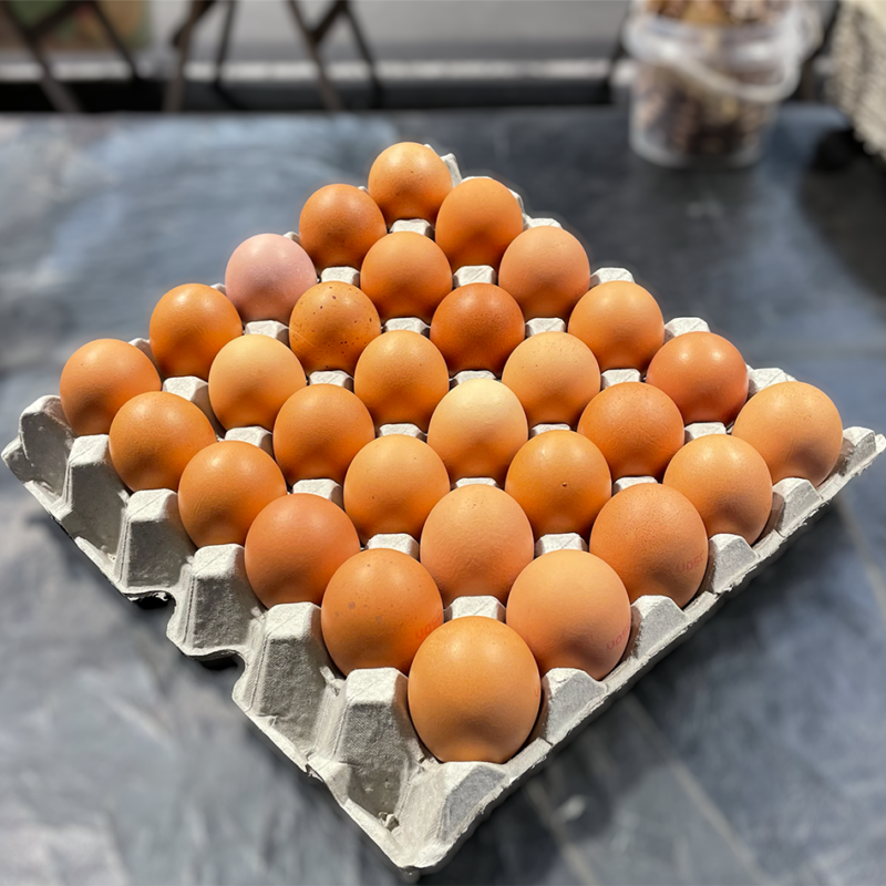 Free Range Eggs (30 pack) - Queen Victoria Market