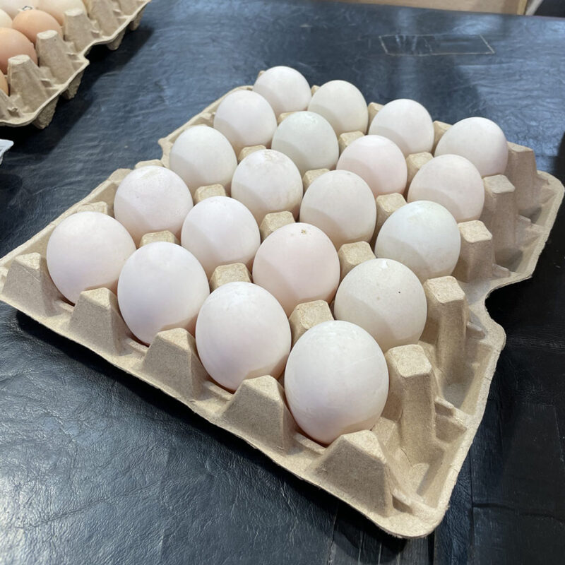 Fresh Duck Eggs - Queen Victoria Market
