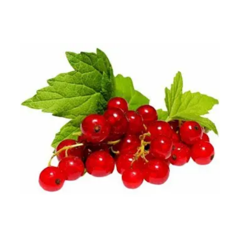 Red Currants - Queen Victoria Market